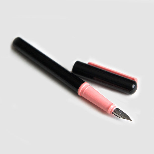 Vintage Reynolds Fountain Pen